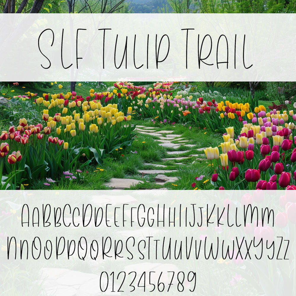 Single Line Font "SLF Tulip Trail" – Single Line Fonts