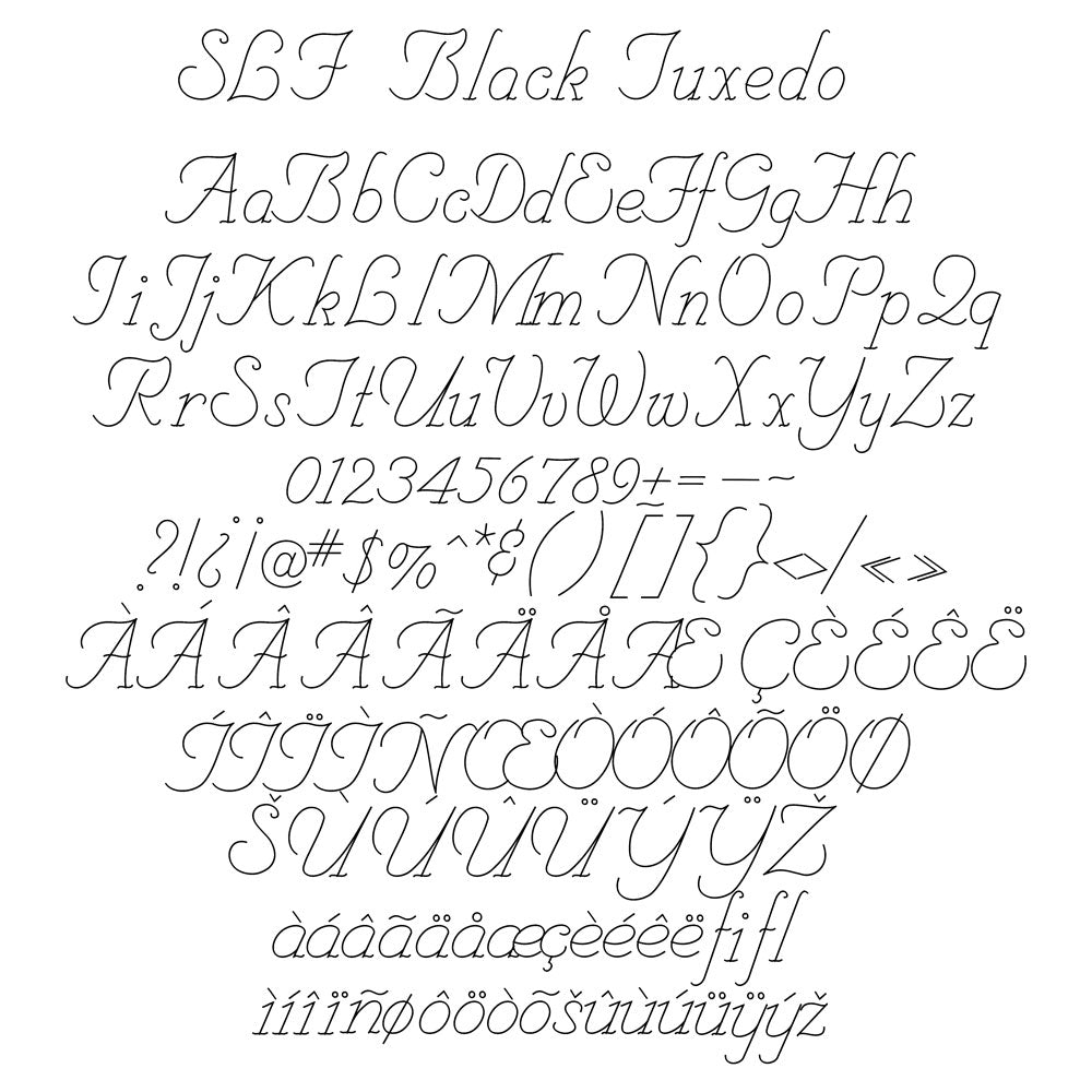 Single Line Font "SLF Black Tuxedo" With Bonus Version – Single Line Fonts